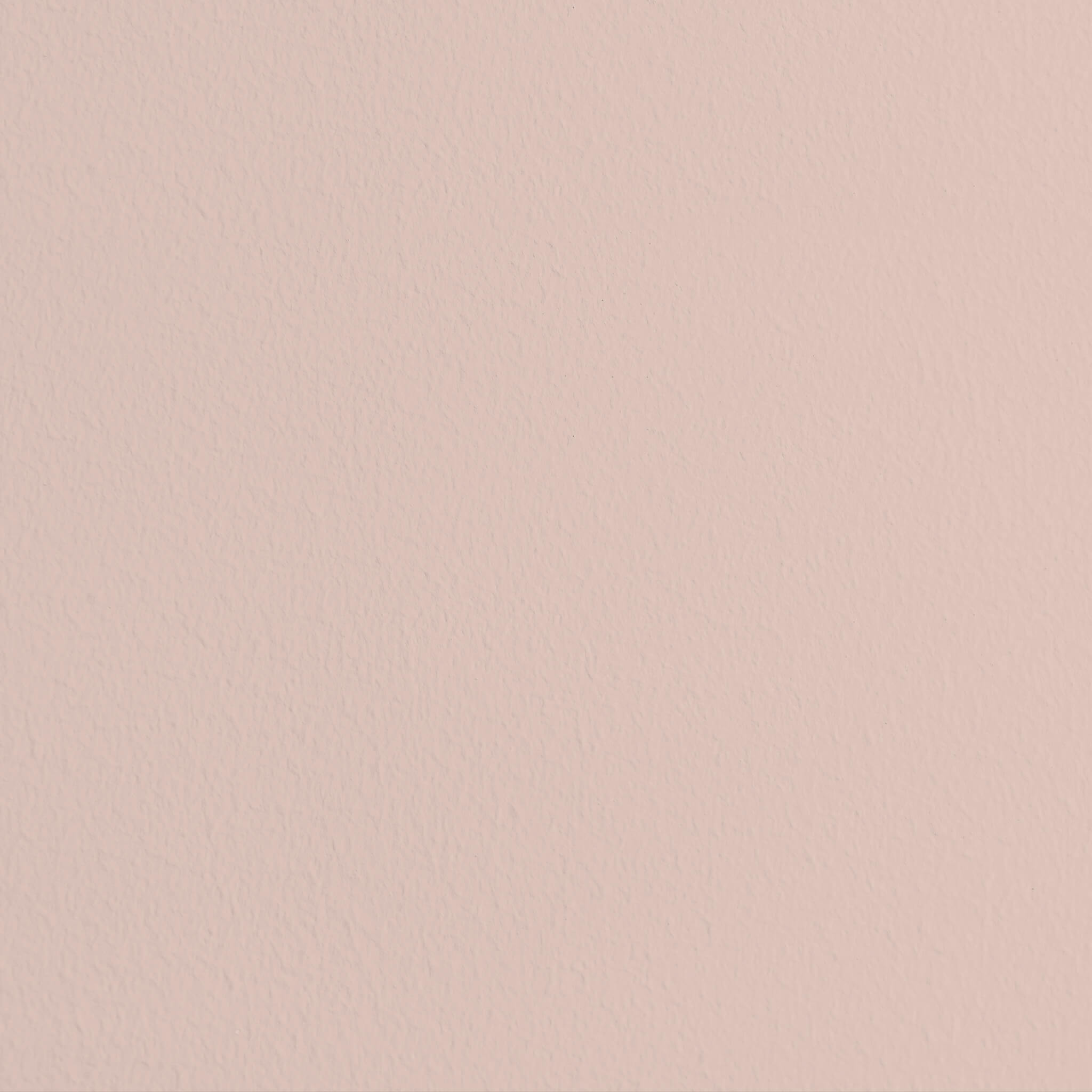 palette de couleurs Urban Jungle