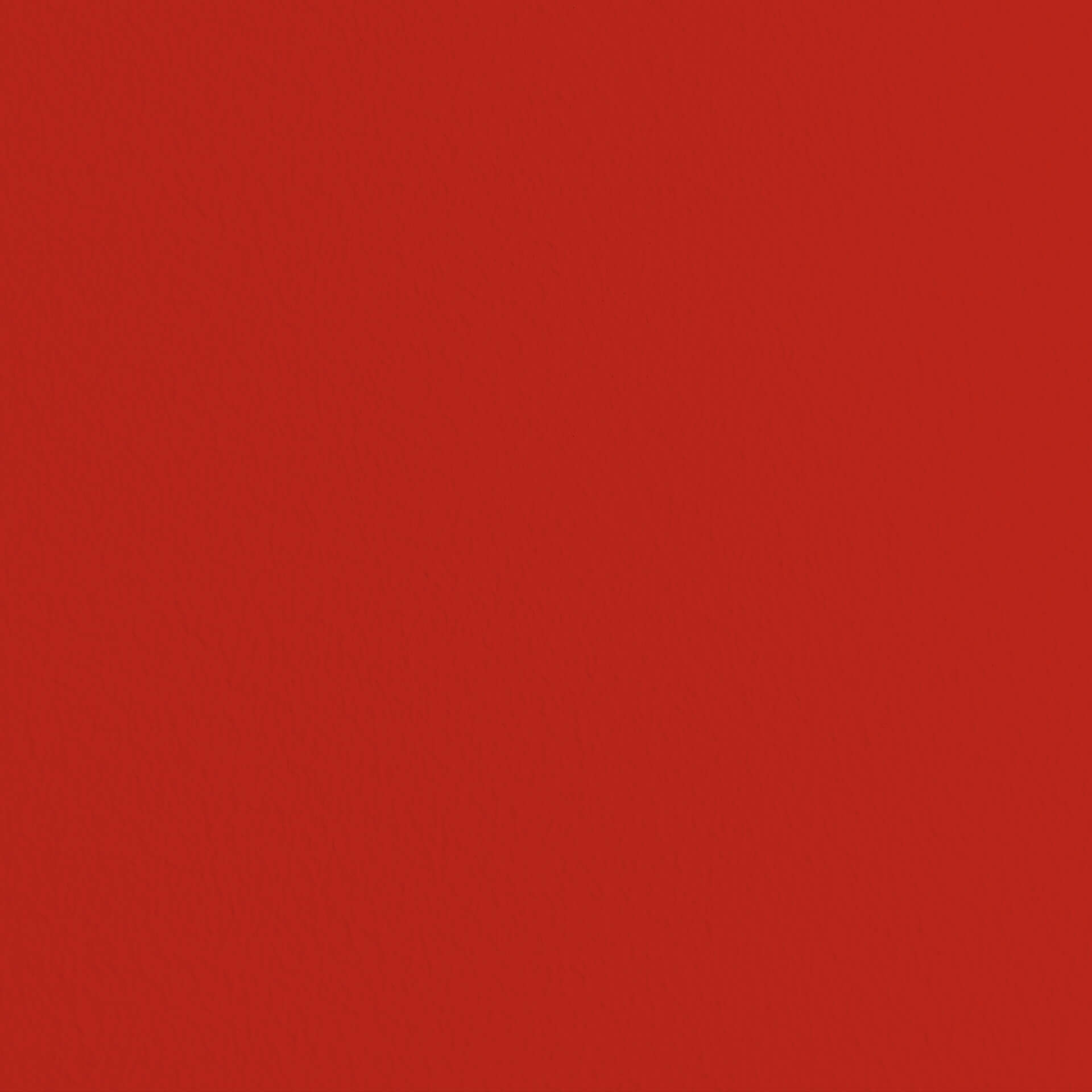 Eindrucksvolle Farbtöne online kaufen | MissPompadour