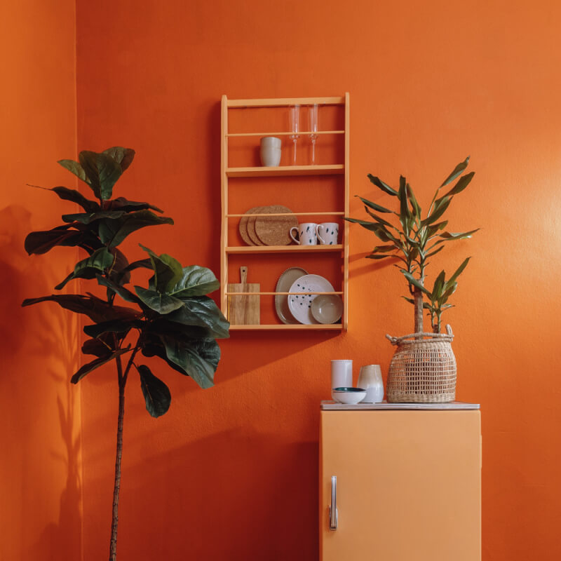 Commander Peinture Murale Orange | MissPompadour