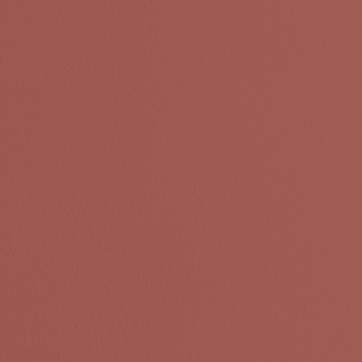 Grün mit Matcha - Abwaschbare Wandfarbe | MissPompadour AT