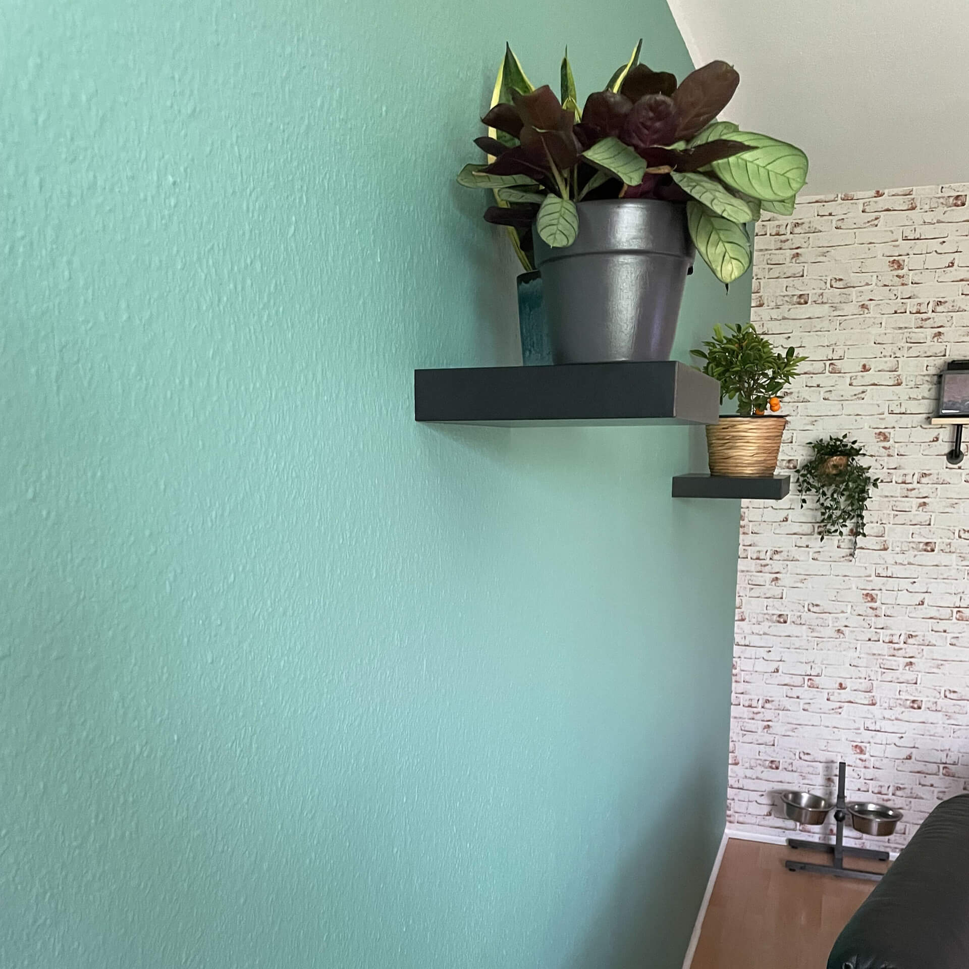 Green with Jade - Washable Wall Paint | MissPompadour EU