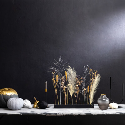 Schwarz mit Samt - Nachhaltige Wandfarbe | MissPompadour DE