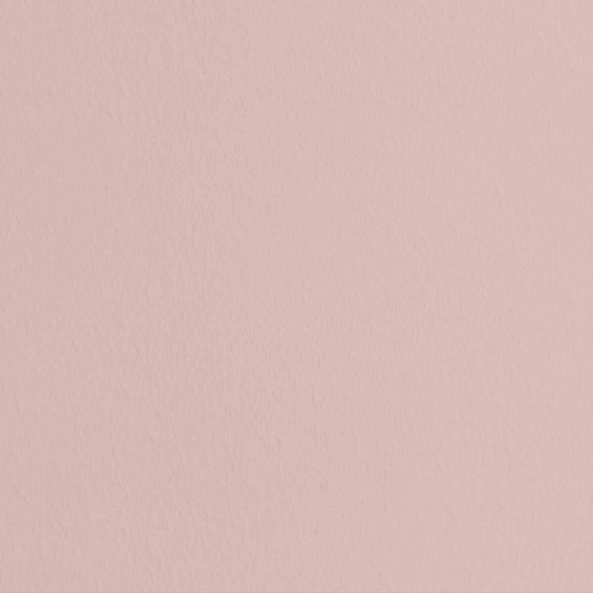 Acheter de la peinture murale et à la craie en rose | MissPompadour