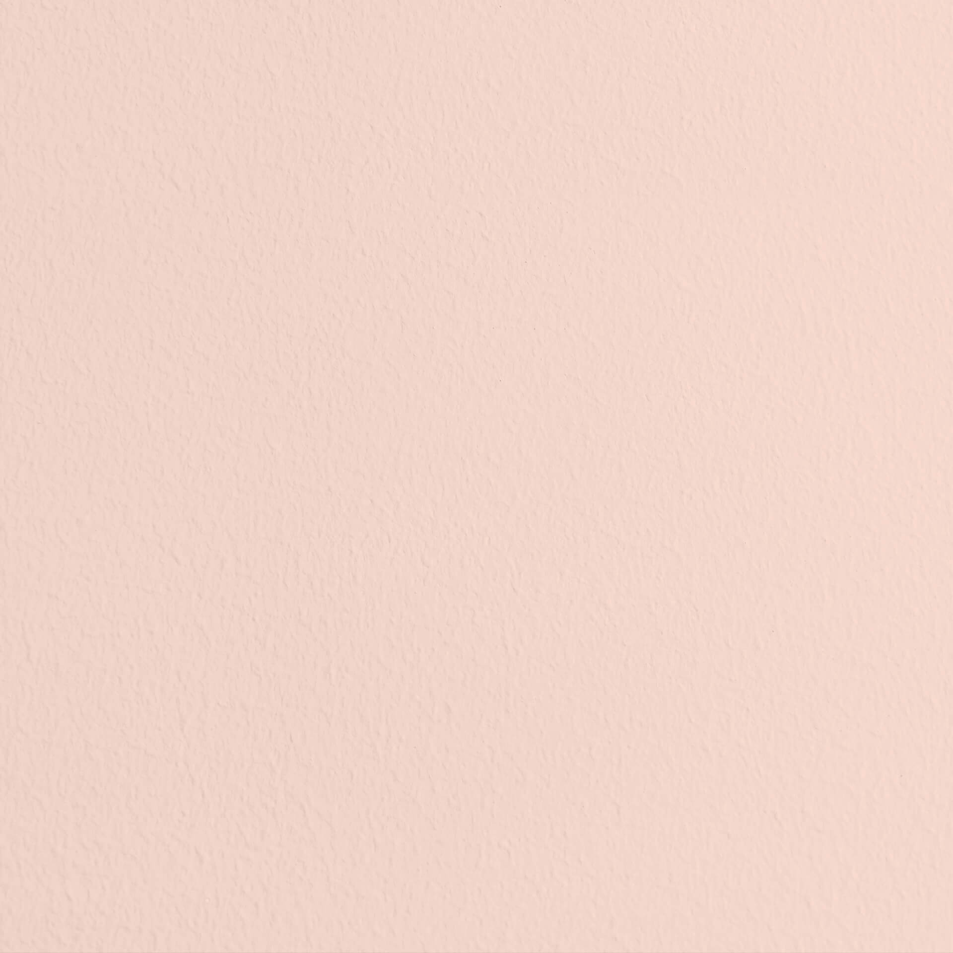 Wandfarbe in Pink & Rosa online kaufen | MissPompadour